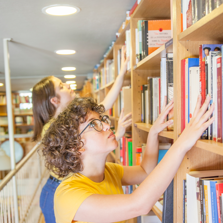 EVERGLOW C – Megamex