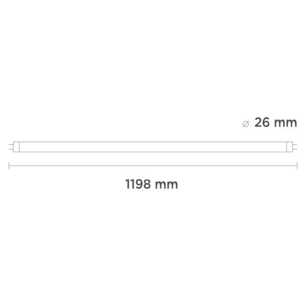 EVERTUBE II – Megamex